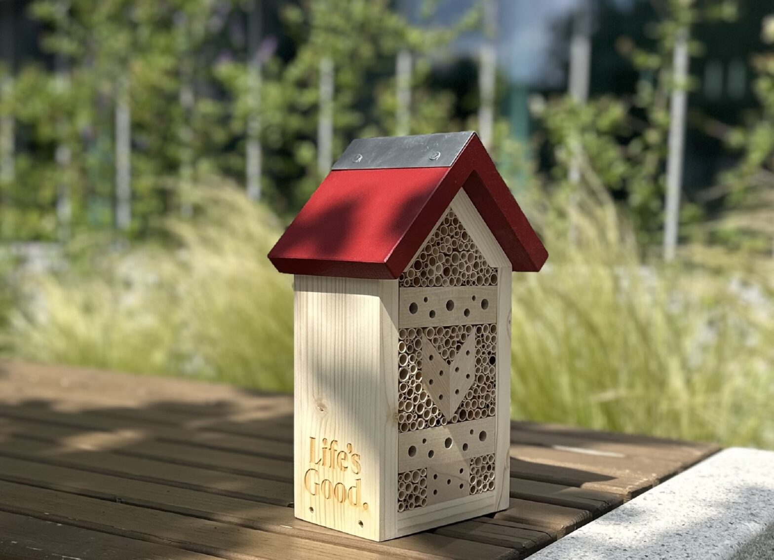 [World Environment Day with LG🌱] Inspiring a New Generation of ...