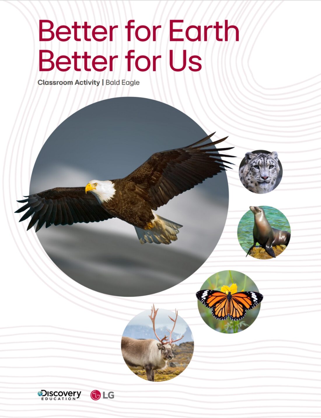 LG's Endangered Species Awareness Campaign Continues With the Bald ...