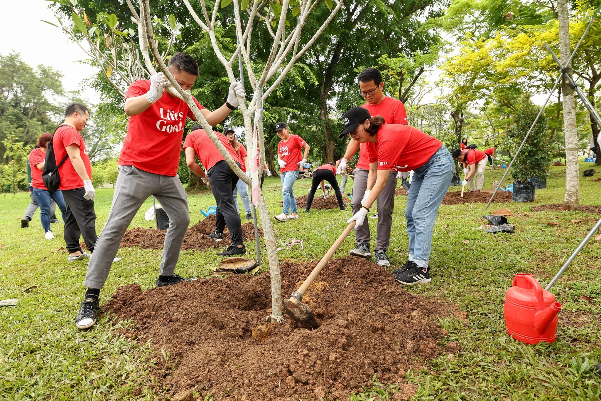 [World Environment Day With LG🌱] Planting Trees to Positively Impact ...