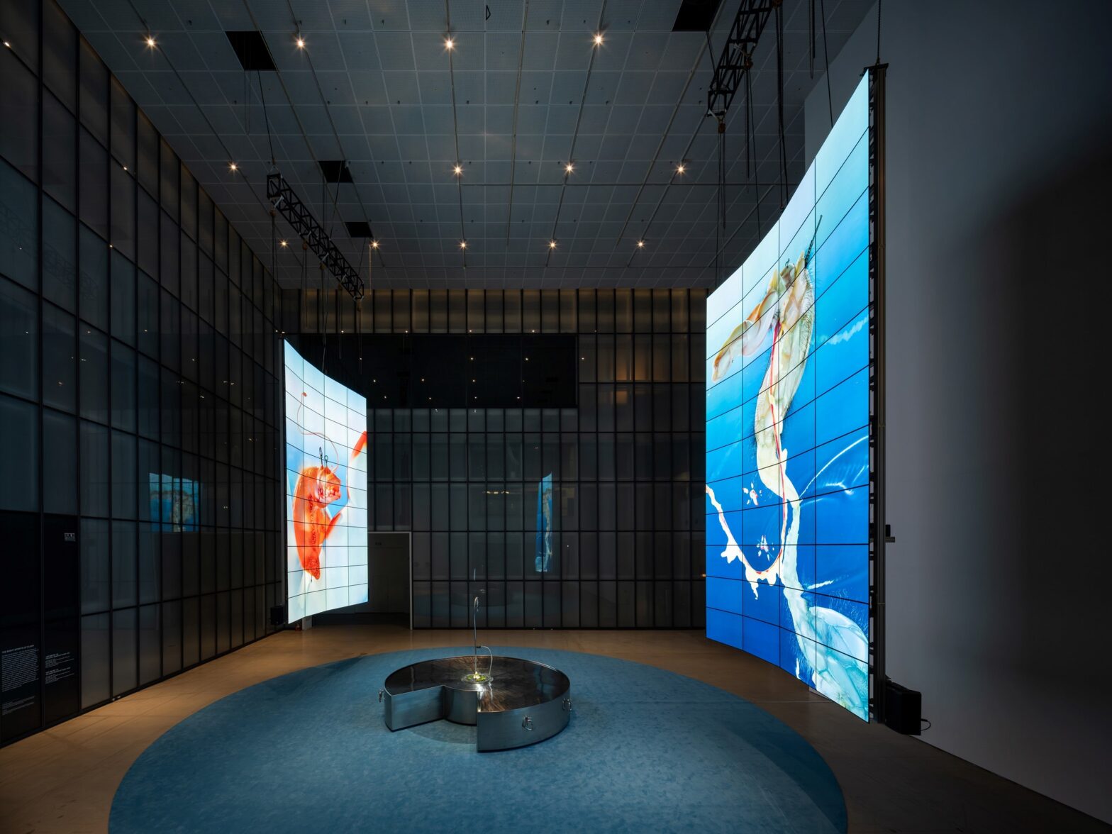 MMCA×LG OLED Series Kicks Off to Bring Digital Art Closer to the Public | LG NEWSROOM